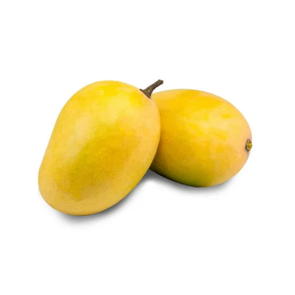 Mango Sindri 1 pudełko (1,3 kg) – Indian House